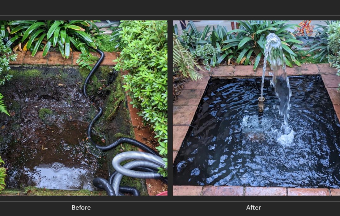 Melbourne Ponds and Gardens - Pond and Garden Services